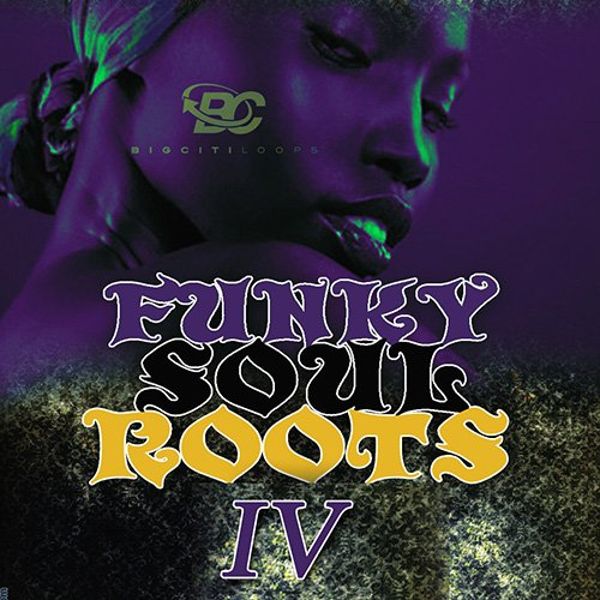Funky Soul Roots 4 - producerplanet.com