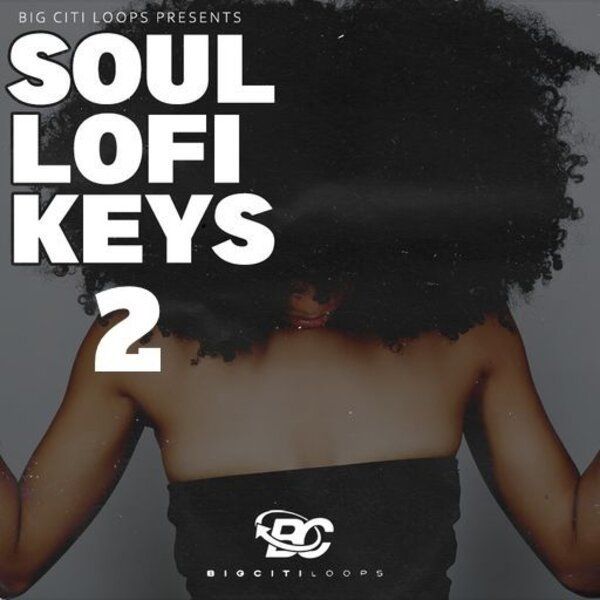 Soul Lofi Keys 2 - producerplanet.com