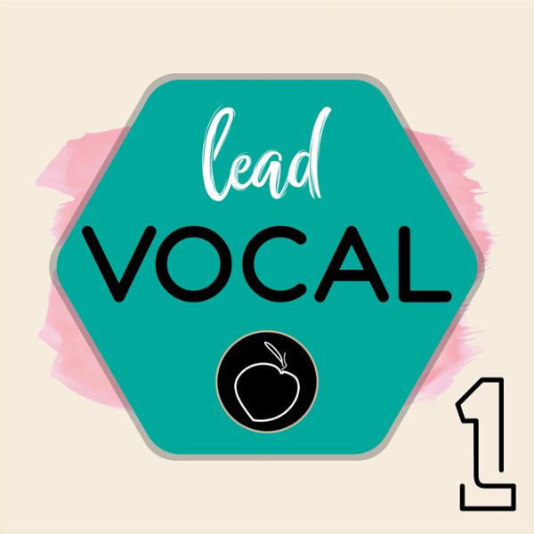 Lead Vocal Vol 1 - producerplanet.com